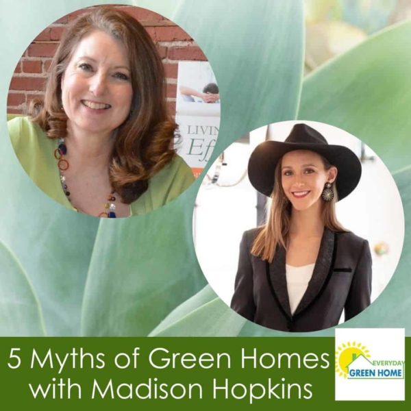 5 Myths of Green Homes with Madison Hopkins - Green Home Coach